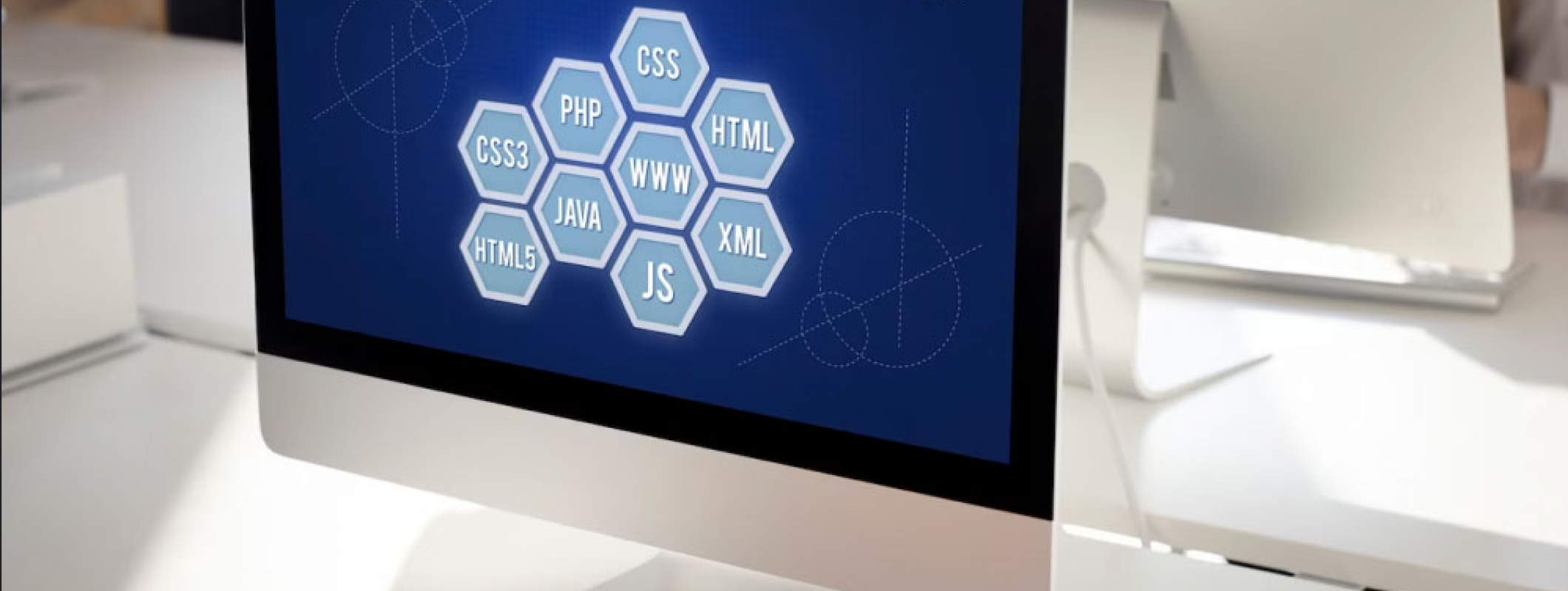 Top Smart Contract Programming Languages in 2025 | Blockchain Dev Guide