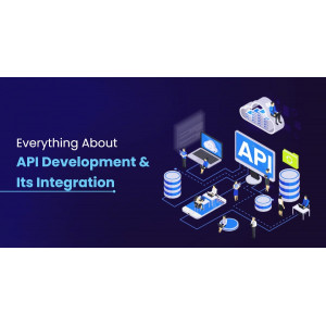 API | Leading the Way in Expert Services for Development and ...